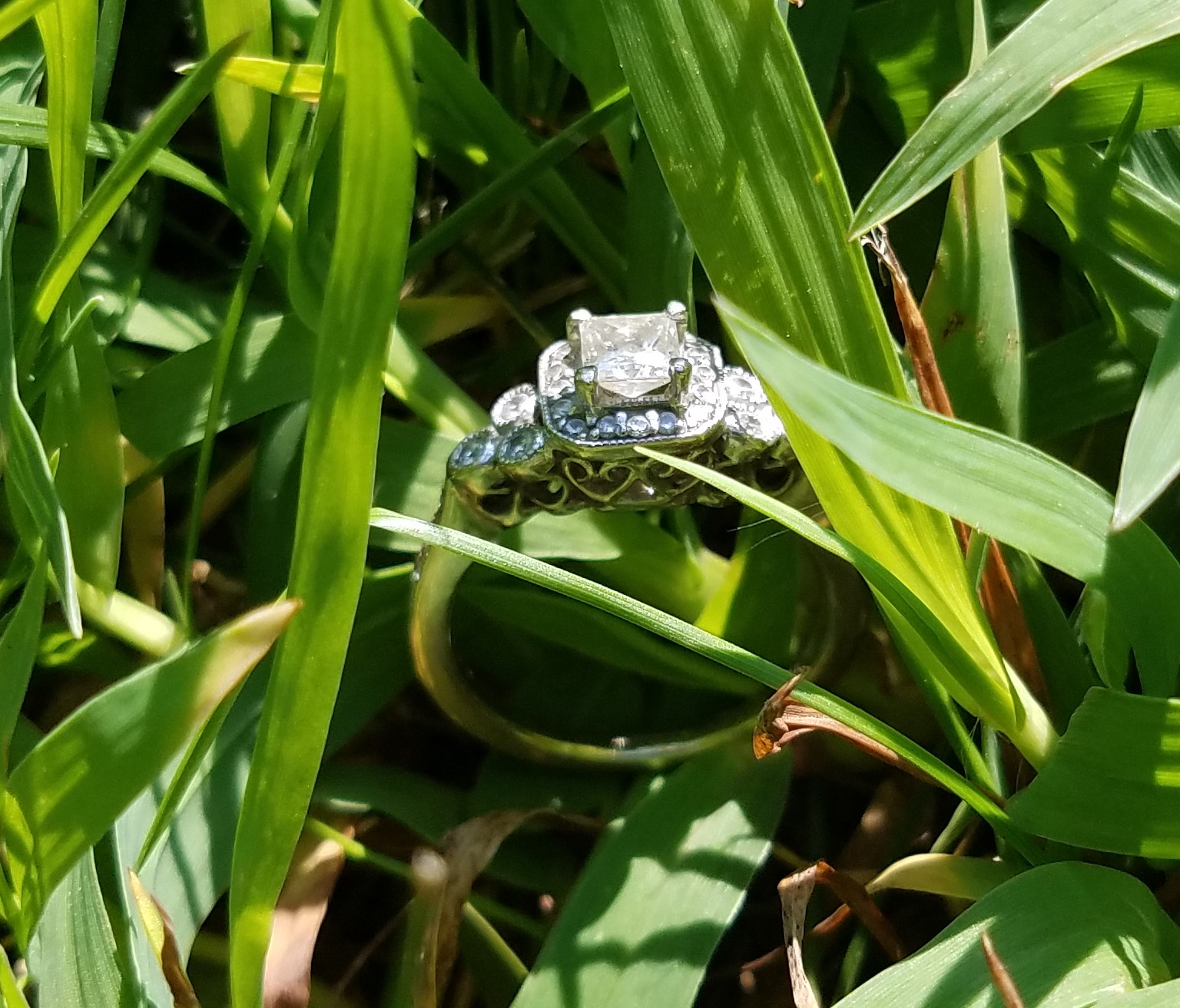 Lost Engagement Ring in Maple Shade NJ Returned by Dave Milsted