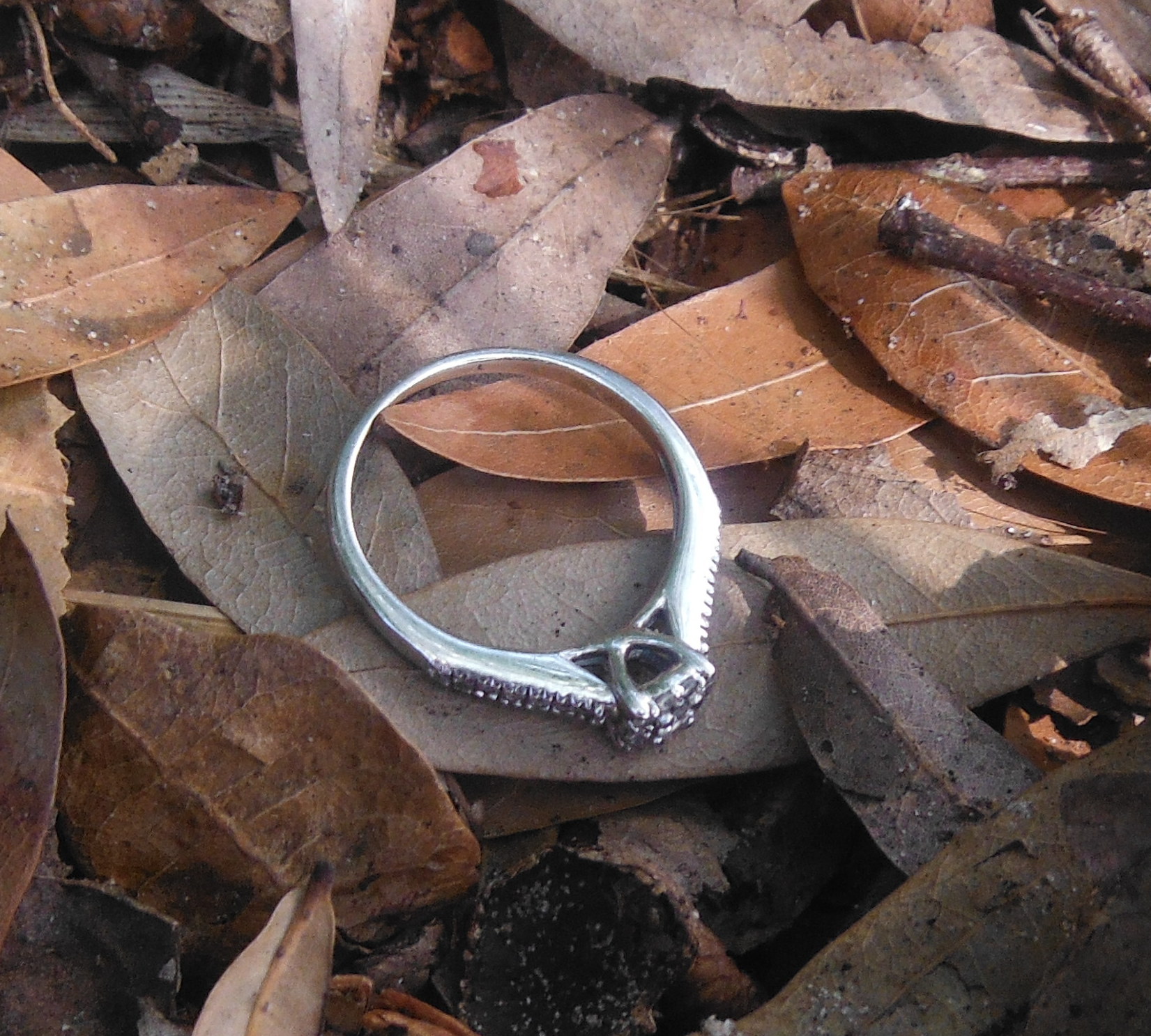 Lost engagement ring in Orlando, Fl....Found!
