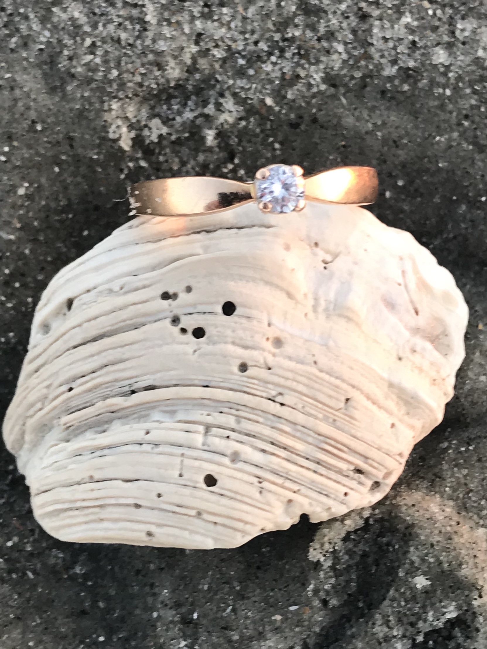 Engagement Ring Lost in the Ocean North Myrtle Beach – Found and Returned