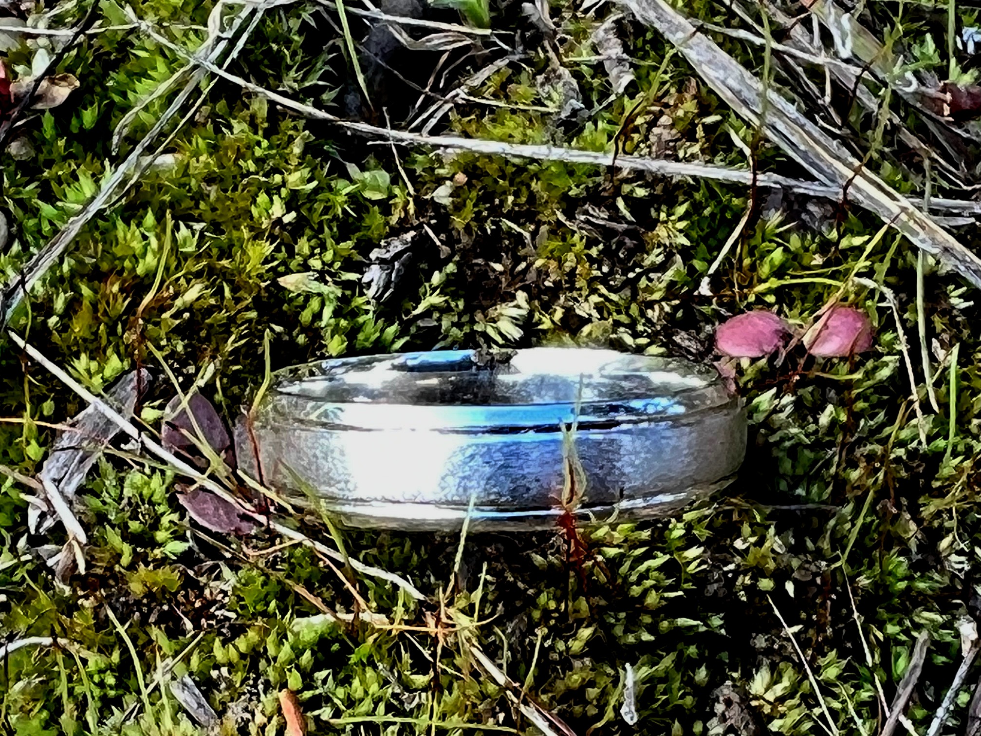 Lost Ring found in Penticton,BC.
