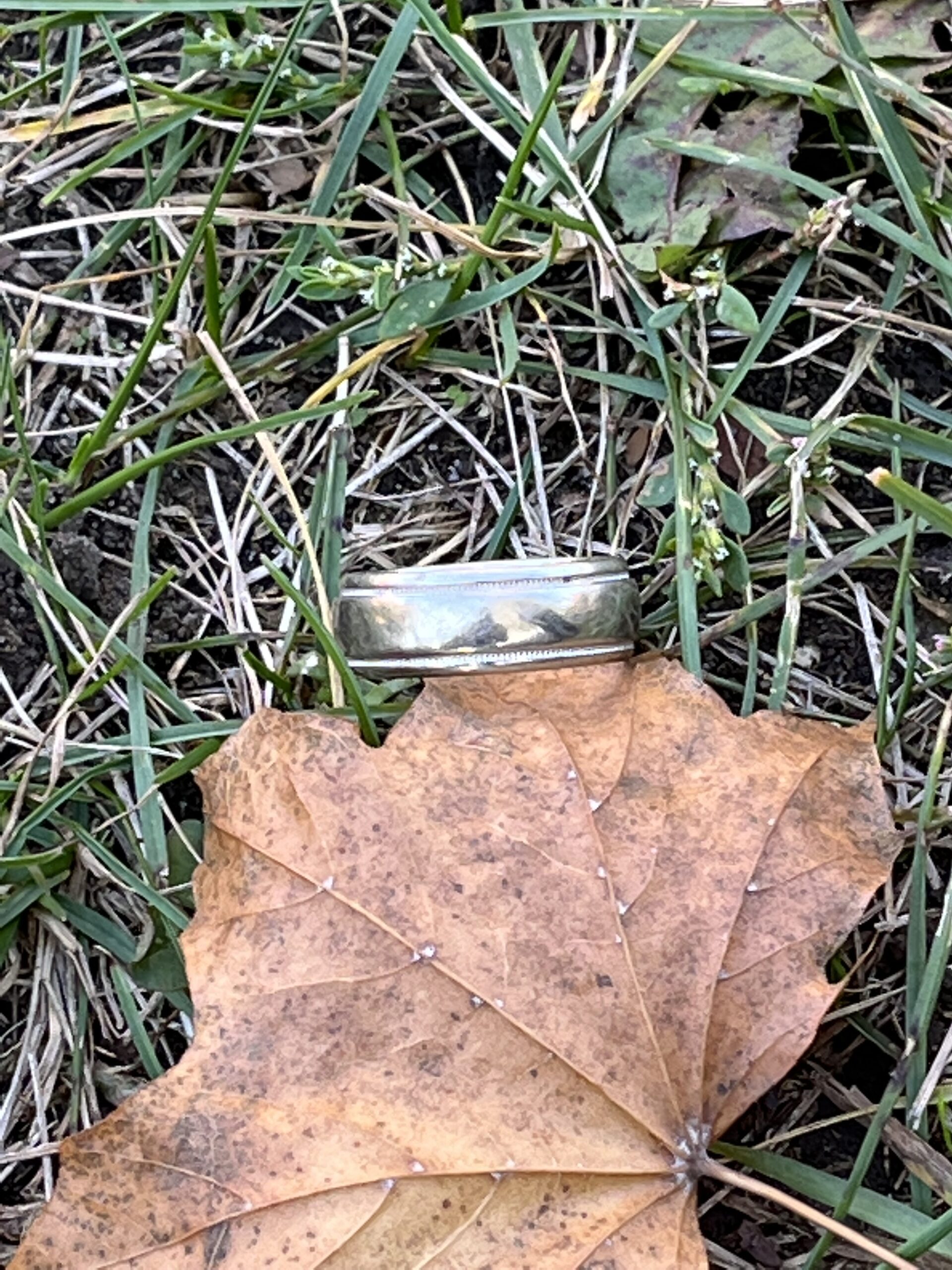 Ring found in a field