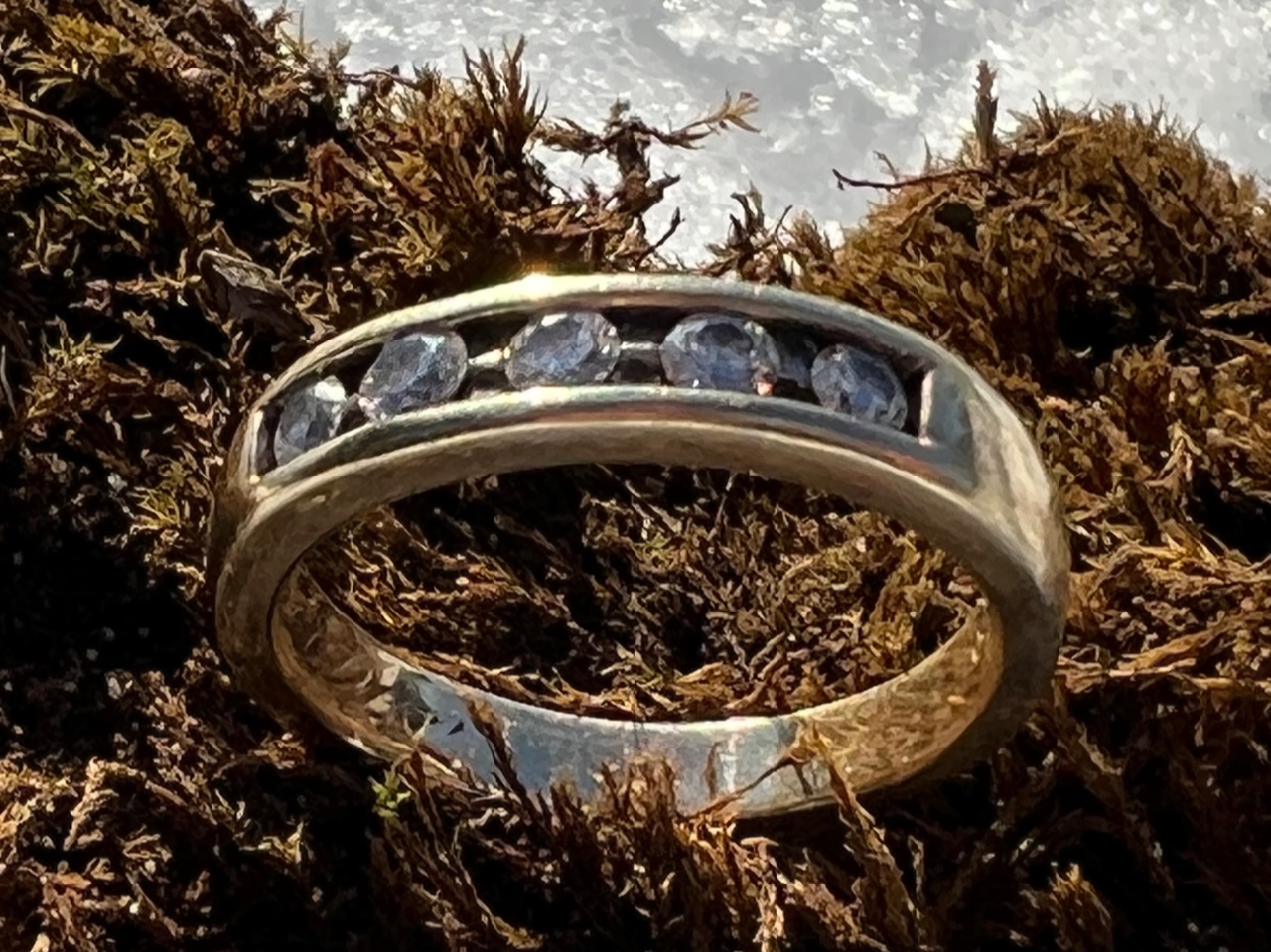 Lost gold ring at a Christmas tree farm in Langley
