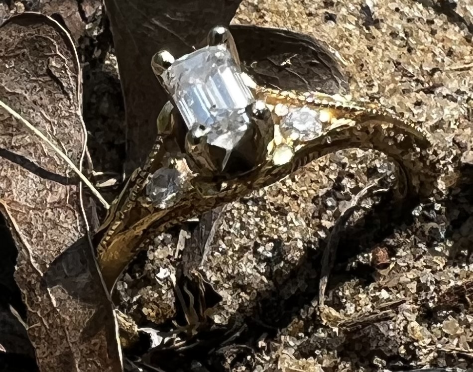 Yellow Gold Diamond Engagement Ring Lost in the weeds, Found and ...