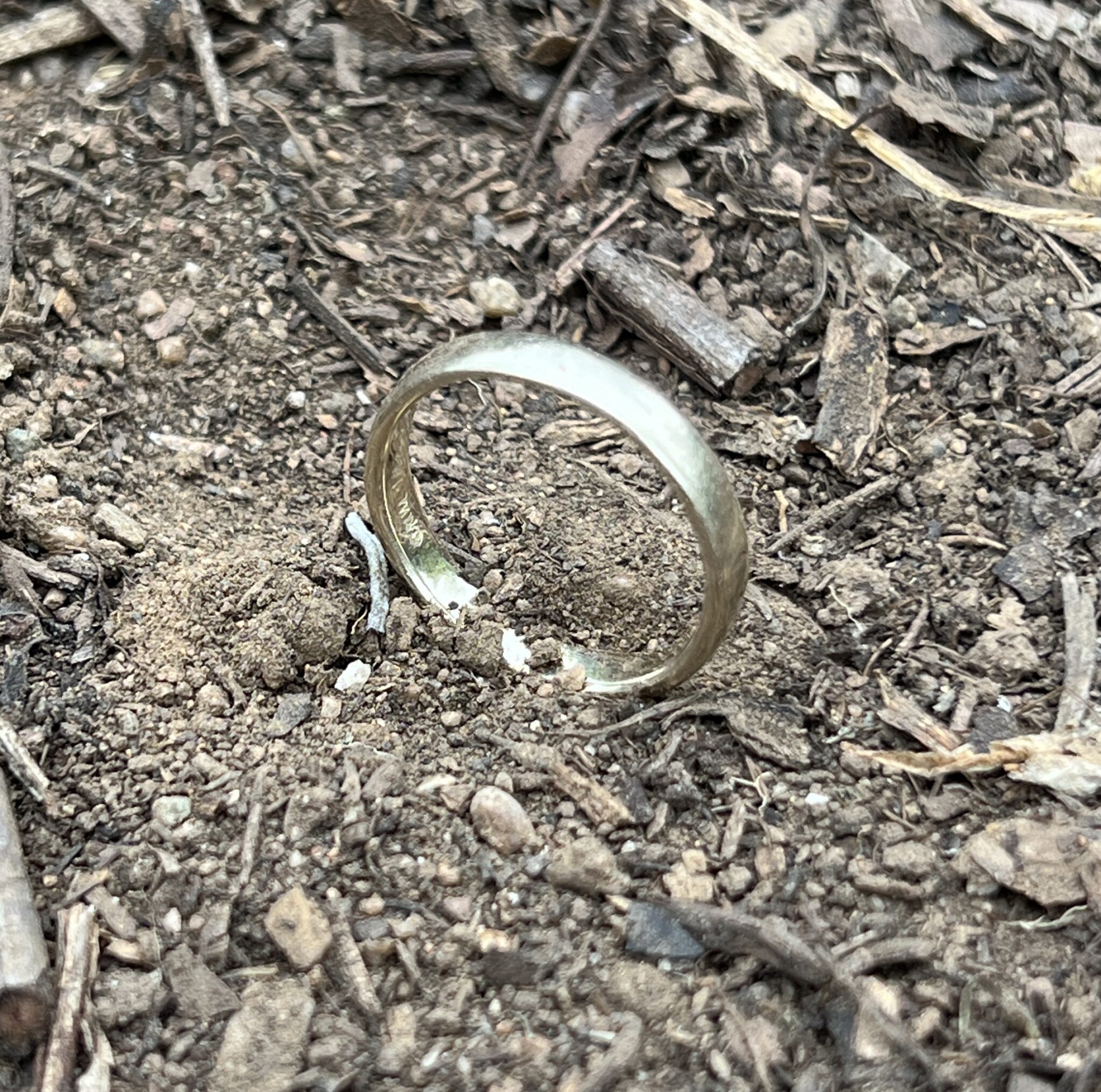 Lost Ring in a Laguna Beach Garden .. Found with Metal Detector