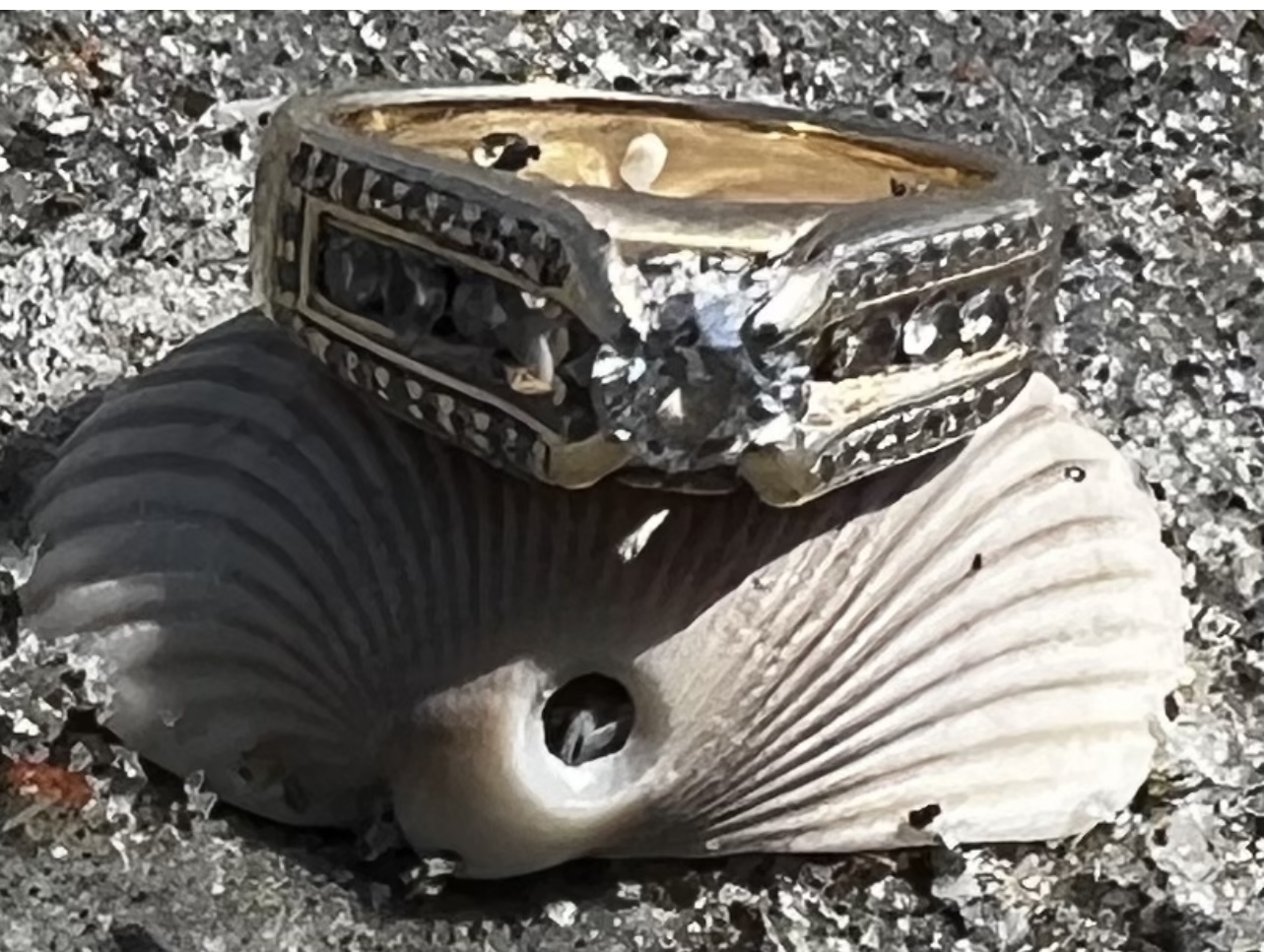 `Woman’s Yellow Gold and Diamond Wedding Ring Lost in the Sand, Found ...