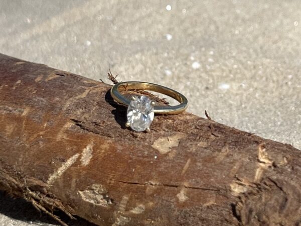 Lost and found gold diamond engagement ring at Sandbanks Provincial ...