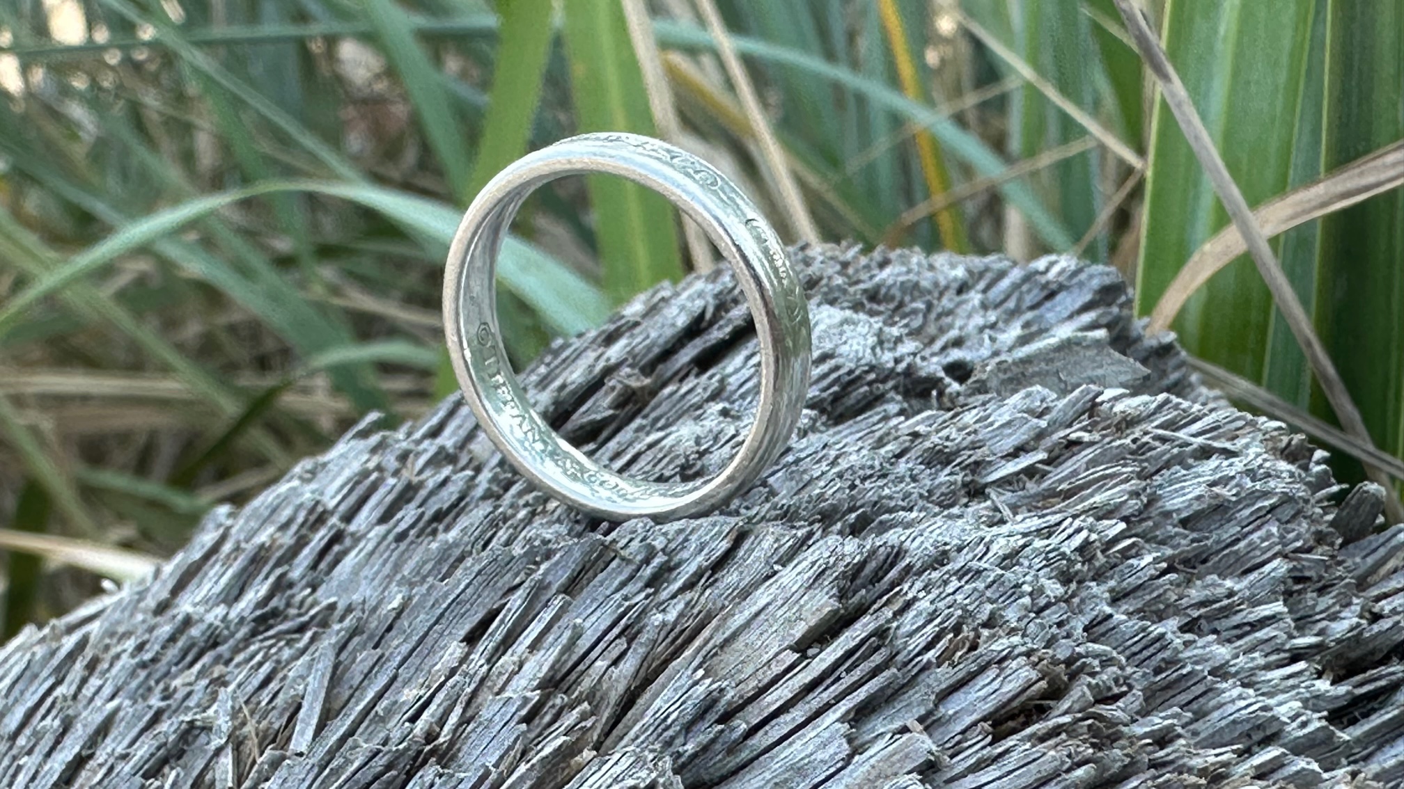 Metal Detecting Service, BC