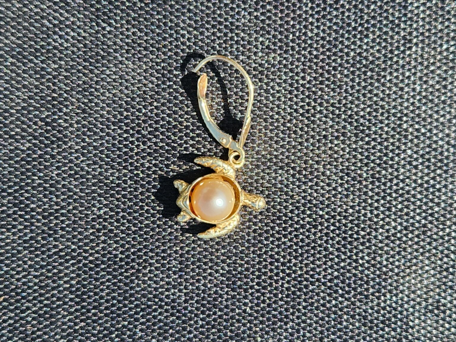 Golden Pearl Earring Lost at Danville School...Found with Metal Detector!