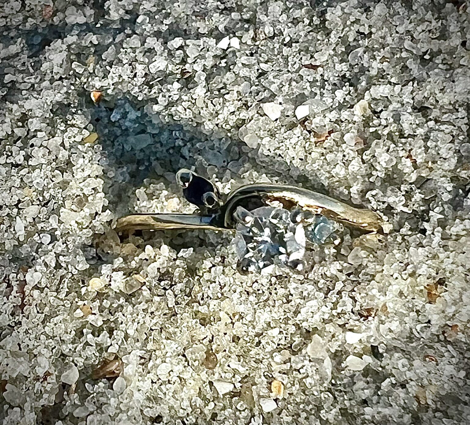 Heirloom Yellow Gold Engagement Ring Lost in the Sand, Found and ...