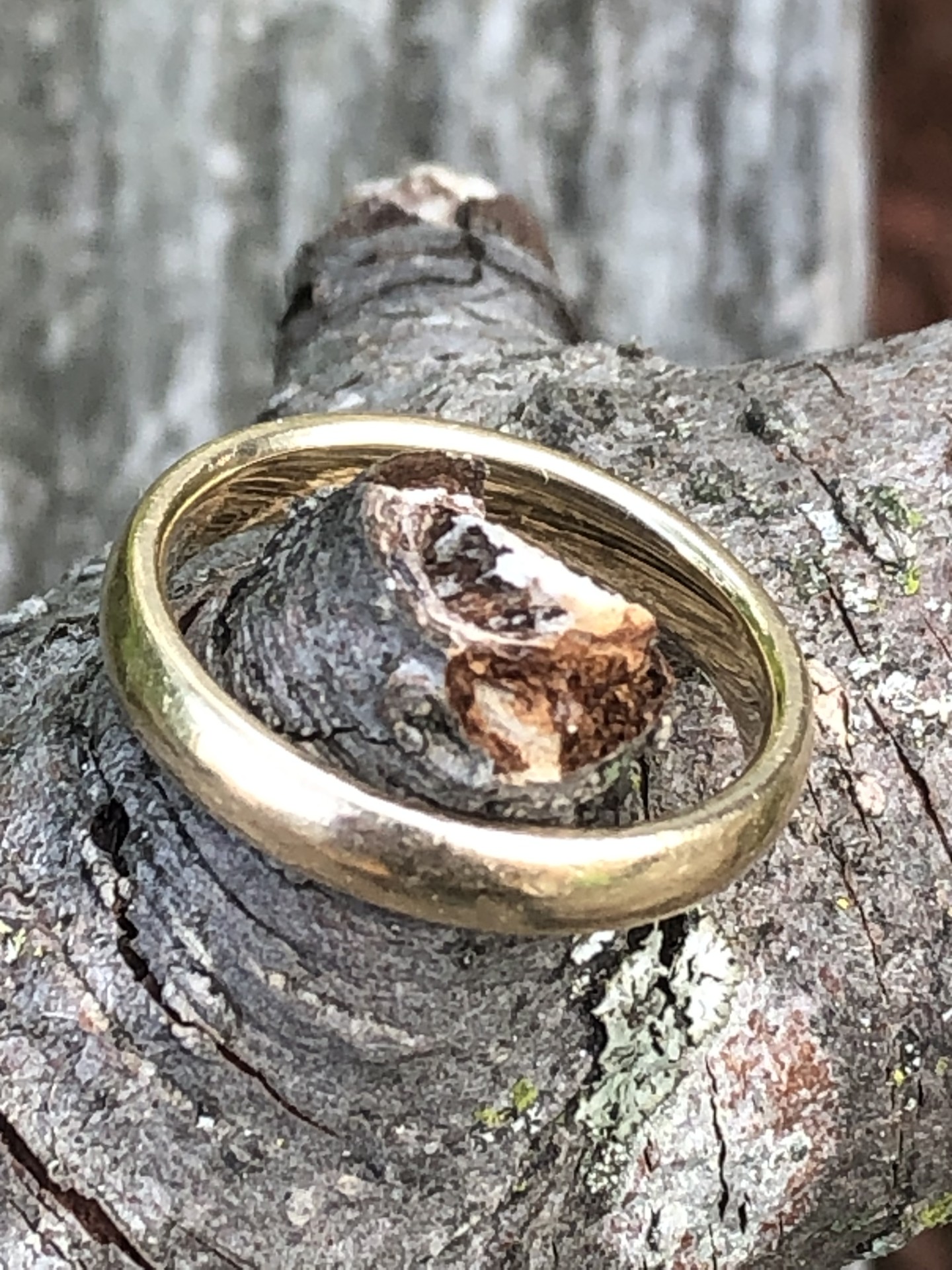 Lost Gold Ring Found in Madison Heights Michigan