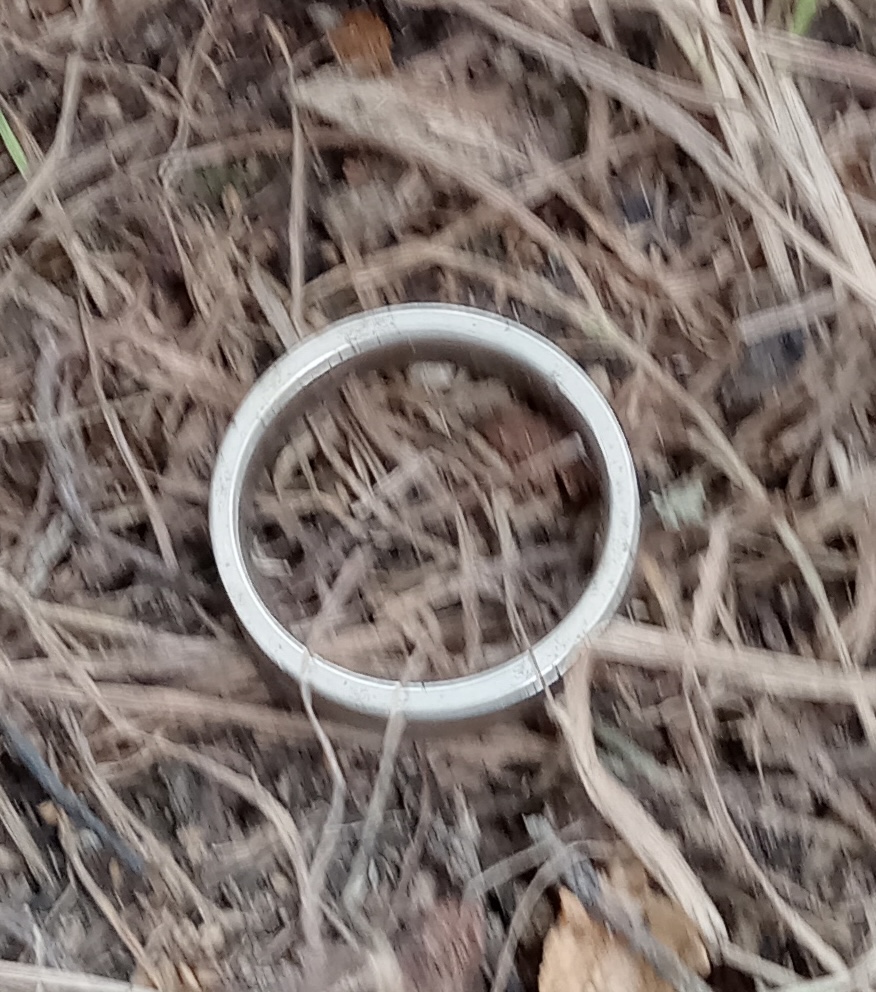 Lost wedding ring in Oregon found with metal detector