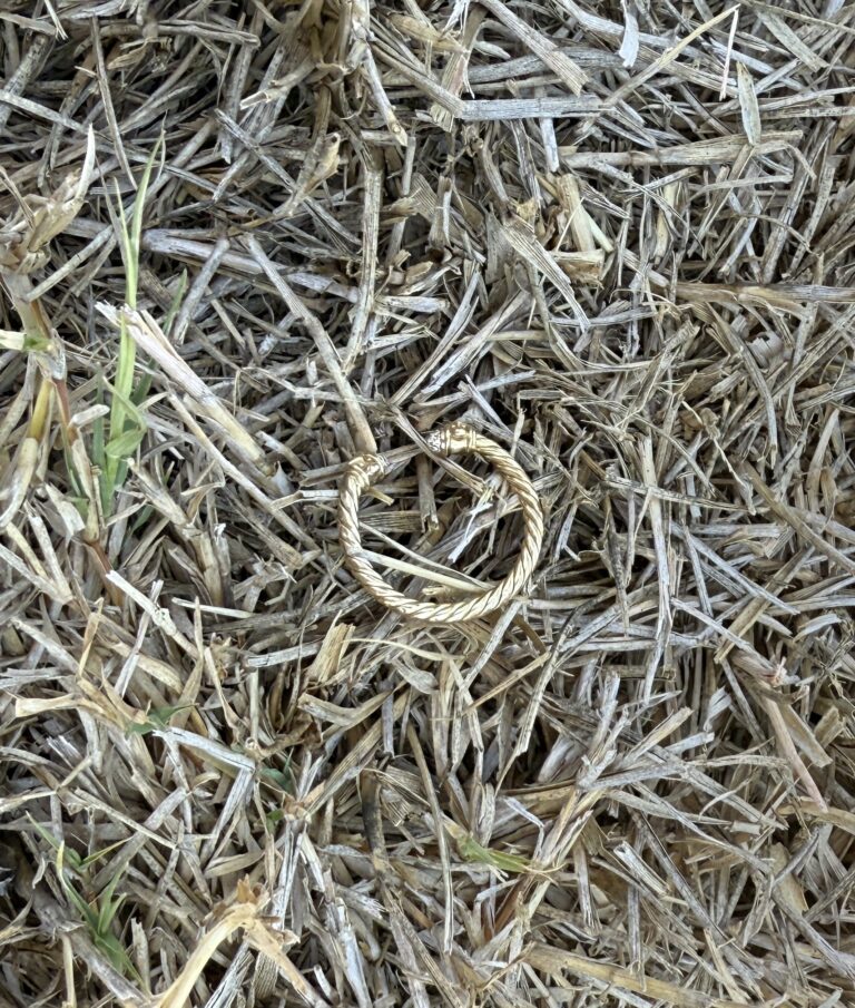how to find a ring in a backyard Tag | The Ring Finders